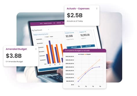 Budget Enterprise Euna Solutions