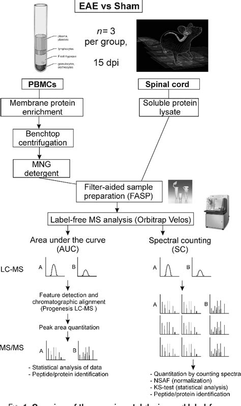 Figure 1 From Discovery Of Novel Disease Specific And Membrane