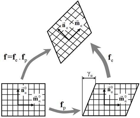 Schematic Representation Of The Multiplicative Decomposition Of The