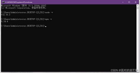 Node js与Webpack及Vue CLI的安装配置教程 CSDN博客