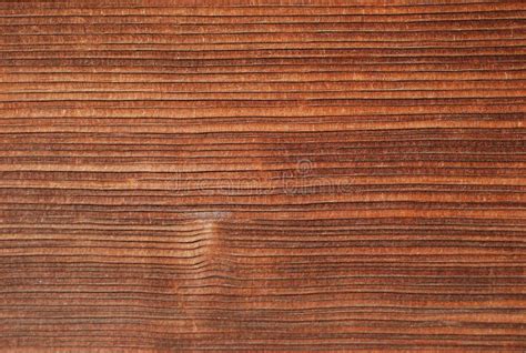 Timber Texture Stock Image Image Of Lumber Pattern Woodwork 6558863
