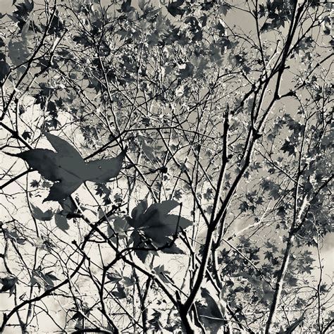 Charley Bickers Home