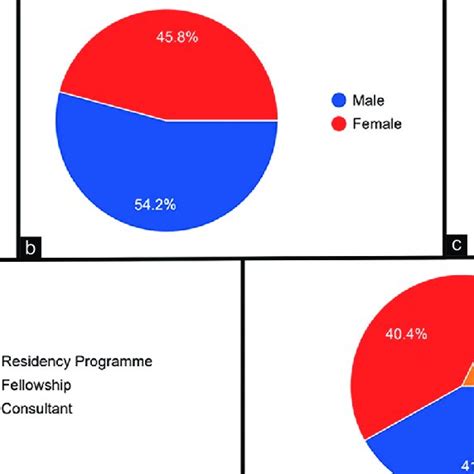 A E Pie Charts Showing The Distribution Of Age Sex Handedness Download Scientific Diagram