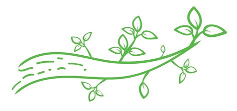 Tree Branch Outline Illustration Vector Art At Vecteezy