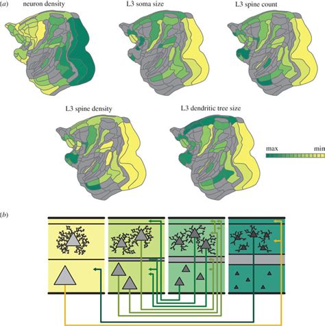 Hierarchical Diffusion Map