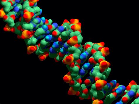 Lts Expands Into Large Molecule Drug Delivery With Sorrel Wearable