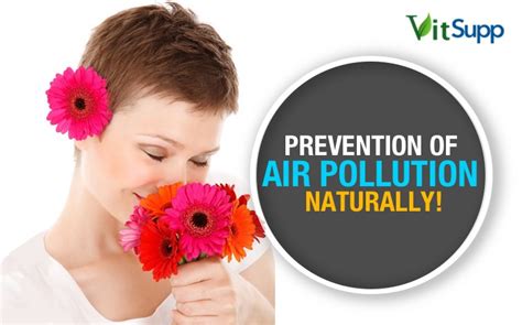 Air Pollution Causes Effects Prevention And Controlair Pollution