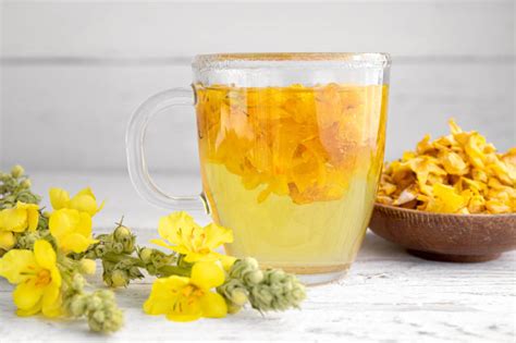 Unlocking The Secrets Of Mullein Growth Benefits And Uses
