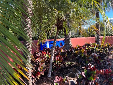 Segway Ninebot Kickscooter G65 Max 2 Overview And Unboxing R Ninebotmax