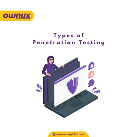 Ownux Infosec Private Limited On Linkedin Penetration Testing