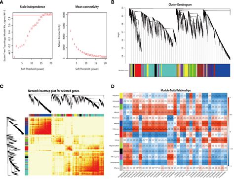 Frontiers Integrated Metabolome And Transcriptome Analysis Identifies