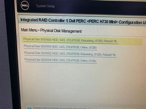 ‎raid 10 Multiple Failed Drives Replacement Issue Dell Technologies