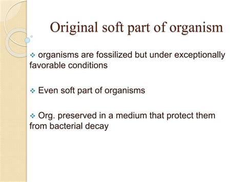 Fossilization Ppt PPTX Chemistry Science