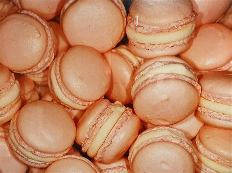 꿀알바투잡알바노가다단기장기부업재택근무 Band