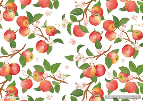 苹果插画设计图花草生物世界设计图库昵图网
