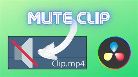 Davinci Resolve Add To Render Queue” Gray Button Solved