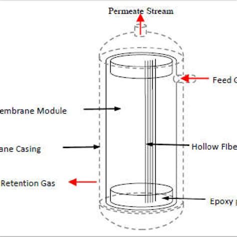 Membrane Module Used In This Experiment Download Scientific Diagram