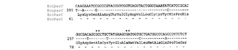 Comparison Of The Nucleotide Sequence Of The Amplified Dna Fragment Of Download Scientific