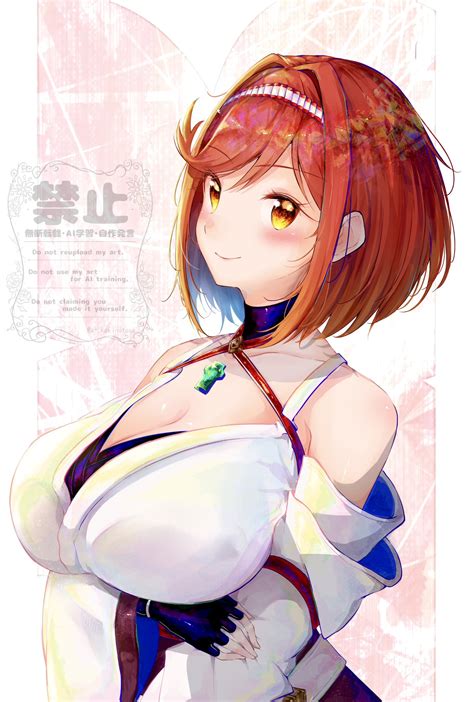 Pyra And Glimmer Xenoblade Chronicles And 3 More Drawn By Nemu Ut