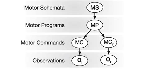 bayesian network for the relations between different levels of the