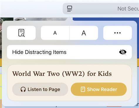 the brilliant safari reader in ios 18 for ipad