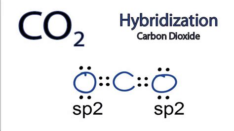 Sp2 Hybridized Carbon Examples At James Jain Blog