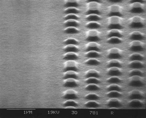 Fascinating Microscopic Views