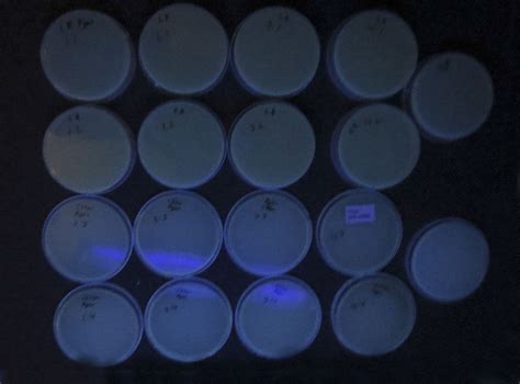 Teamconsort Albertanotebook