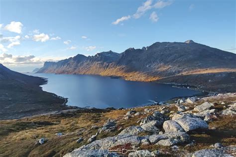 Discover The Fabulous Kvaloya Island Near Tromso One Of The Most