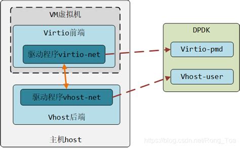 数据平面开发套件（dpdk）中的vhost Virtio的配置和性能dpdk Virtio Vhost Csdn博客