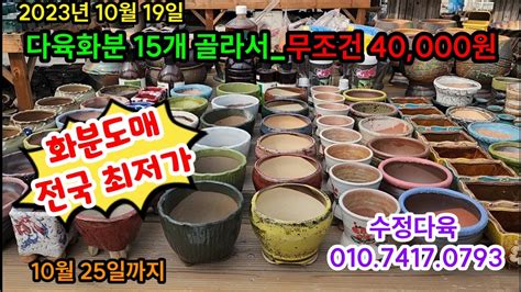 화분 판매 10월19일 전국에서 다육화분이 제일 많아요 다육화분 15개 골라서 무조건 40000원 수정다육01074170793 5만원이상 무료배송 화분