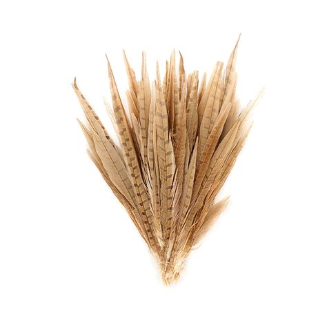 Assorted Dyed Eggshell Pheasant Tails Buy Craft Tail Feathers