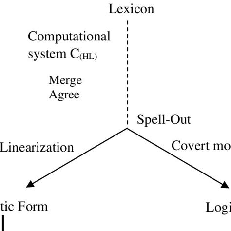The Architecture Of Simpler Syntax Download Scientific Diagram