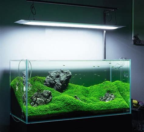 Glass Aquarium Tank 24x12x12 Inch Rimless