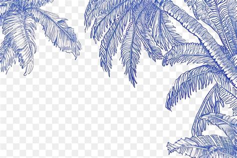 PNG Outdoors Nature Plant Tree Premium PNG Rawpixel