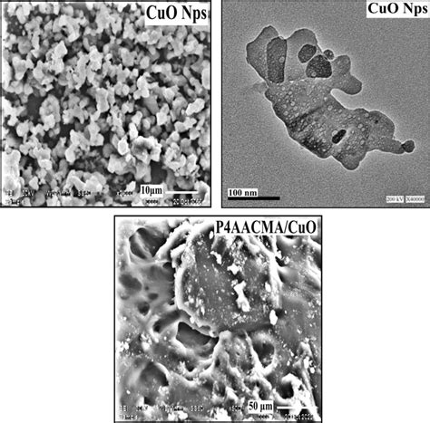 Sem And Tem Of Nano Cuo Sem Of P4aacmacuo Nanocomposite Download