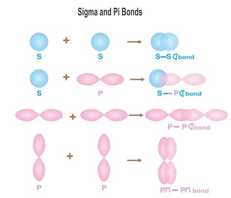 Sigma And Pi Bonds Vector Art At Vecteezy