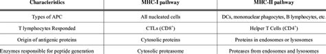 Difference Between The Antigen Processing Pathways Download Table
