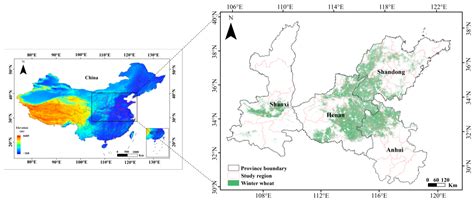 Winter Wheat Yield Prediction Using Satellite Remote Sensing Data And