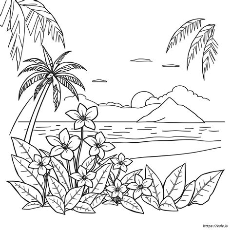 Tropical Flowers Coloring Pages