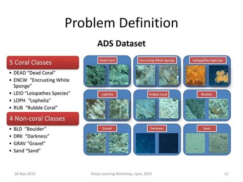 Underwater Sparse Image Classification Using Deep Convolutional Neural Networks Pdf