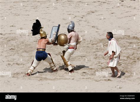 Hoplomachus Gladiator