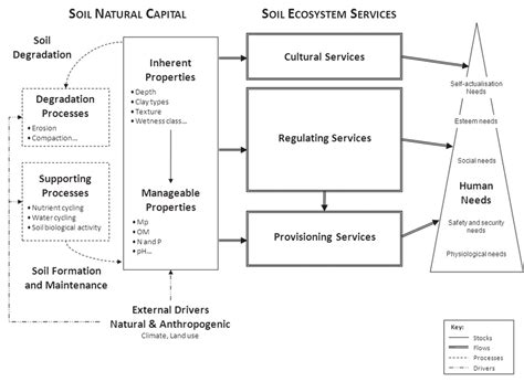 Conceptual Framework Linking Soil Natural Capital And Functioning To