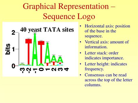 Ppt Local Multiple Sequence Alignment Sequence Motifs Powerpoint Presentation Id3369821