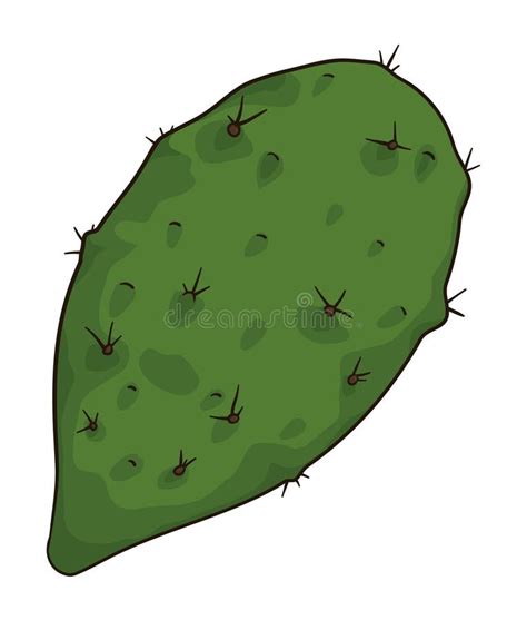 Nopal Pad In Cartoon Style On White Background Vector Illustration