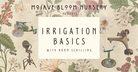 Irrigation Basics With Norm Schilling