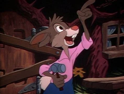 Top 6 Splash Mountain Secrets Video Dvc Shop