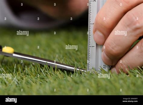 Measuring For Grass At Phoebe Hercus Blog