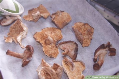 3 Ways To Dry Mushrooms Wikihow