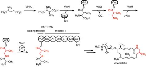 Figure 1 From Structure Based Analysis Of The Molecular Interactions